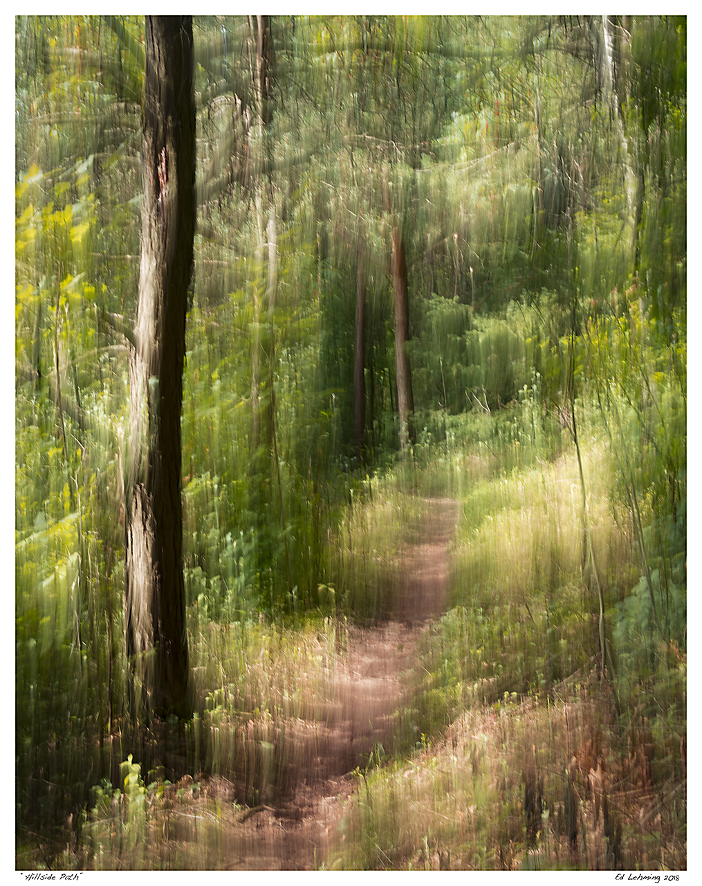 “Hillside Path” | Ed Lehming Photography