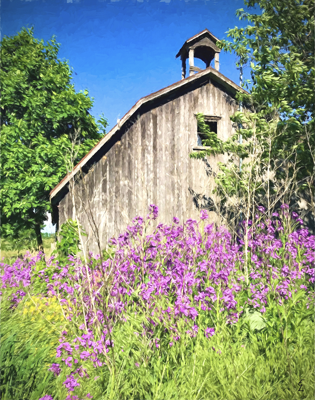 “Drive Shed and Dames Rockets” | Ed Lehming Photography