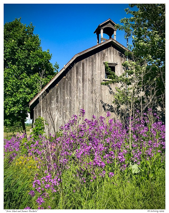 “Drive Shed and Dames Rockets” | Ed Lehming Photography