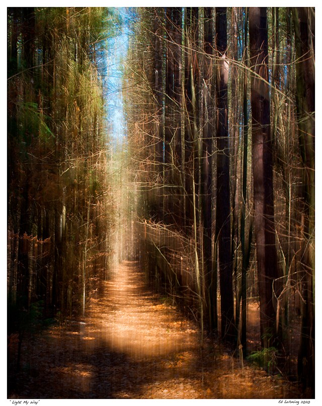 Light and Motion | Ed Lehming Photography