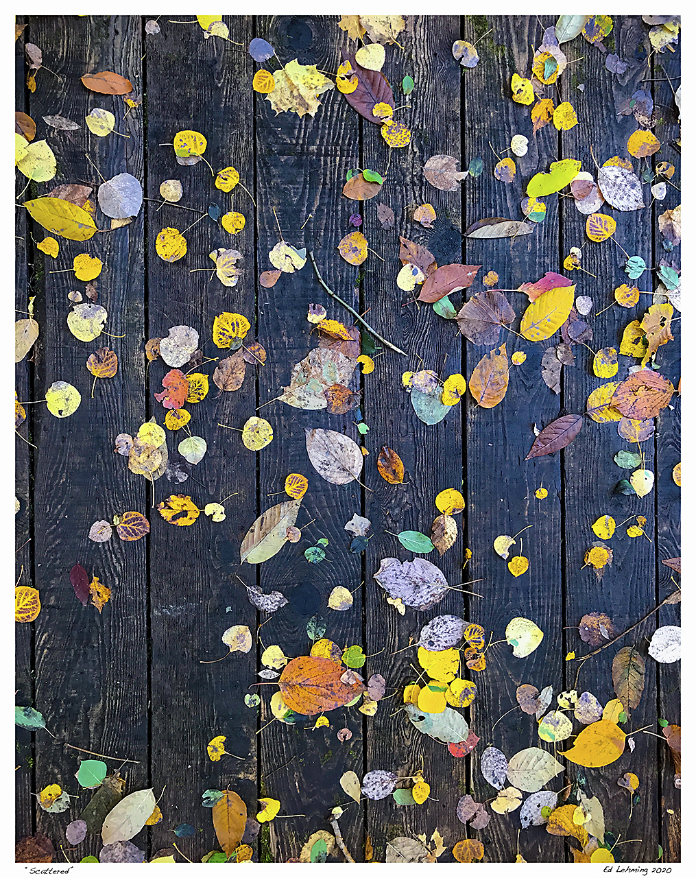 “Scattered” | Ed Lehming Photography