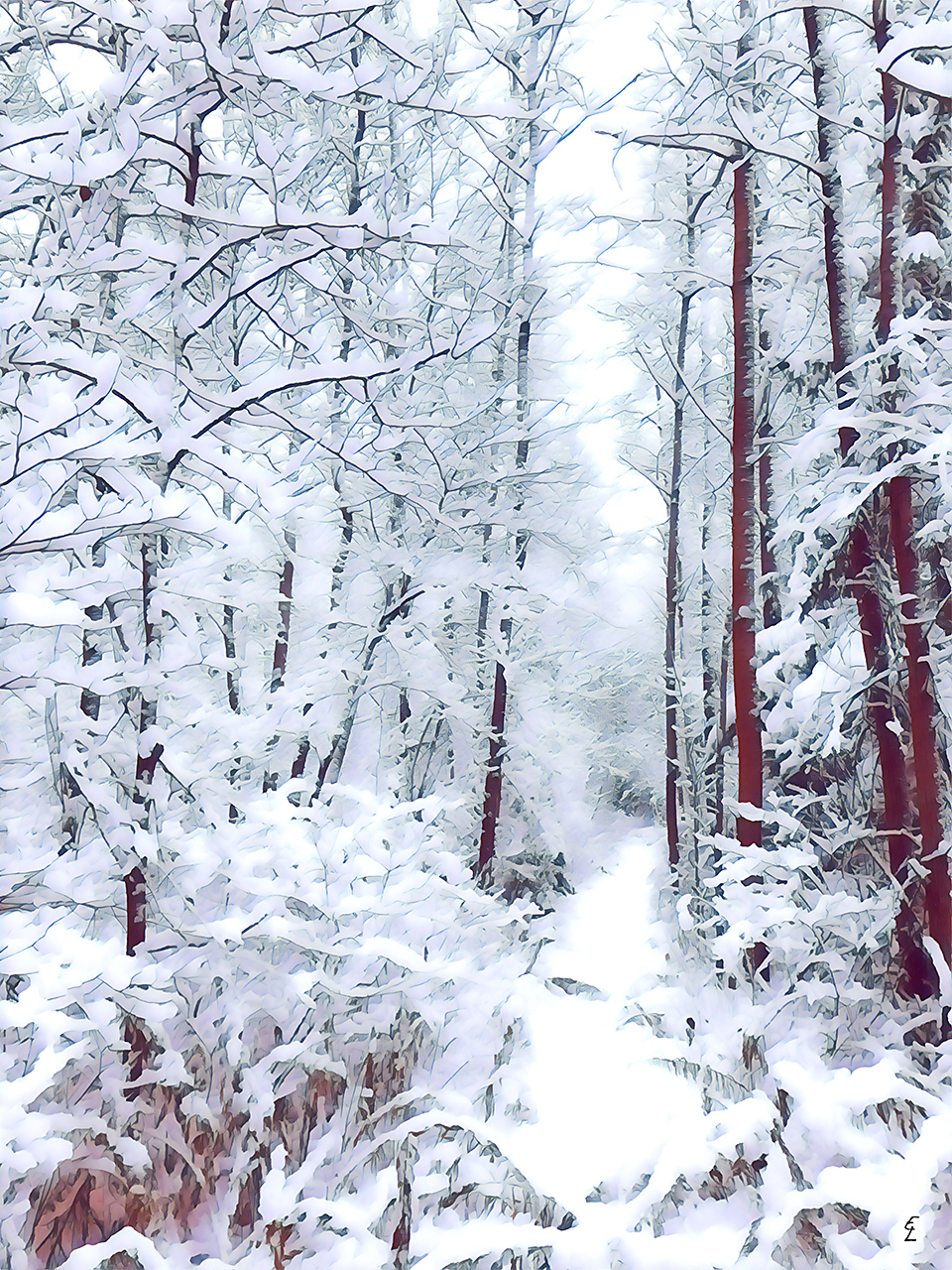 “The Path Less Trodden” | Ed Lehming Photography