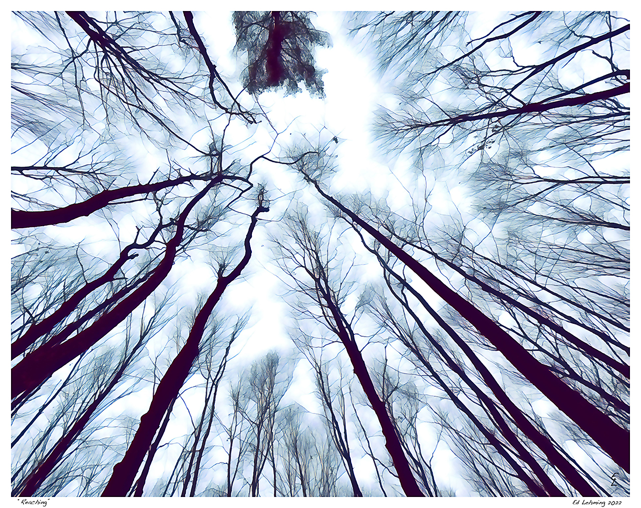 “Reaching” | Ed Lehming Photography