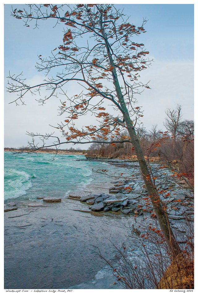 “Windswept Cove” – Lakeshore Lodge Point, PEC | Ed Lehming Photography