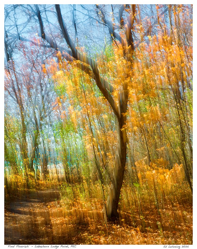 “Final Flourish” – Lakeshore Lodge Point, PEC | Ed Lehming Photography